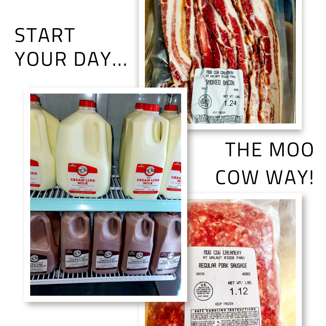 Home | Moo Cow Creamery